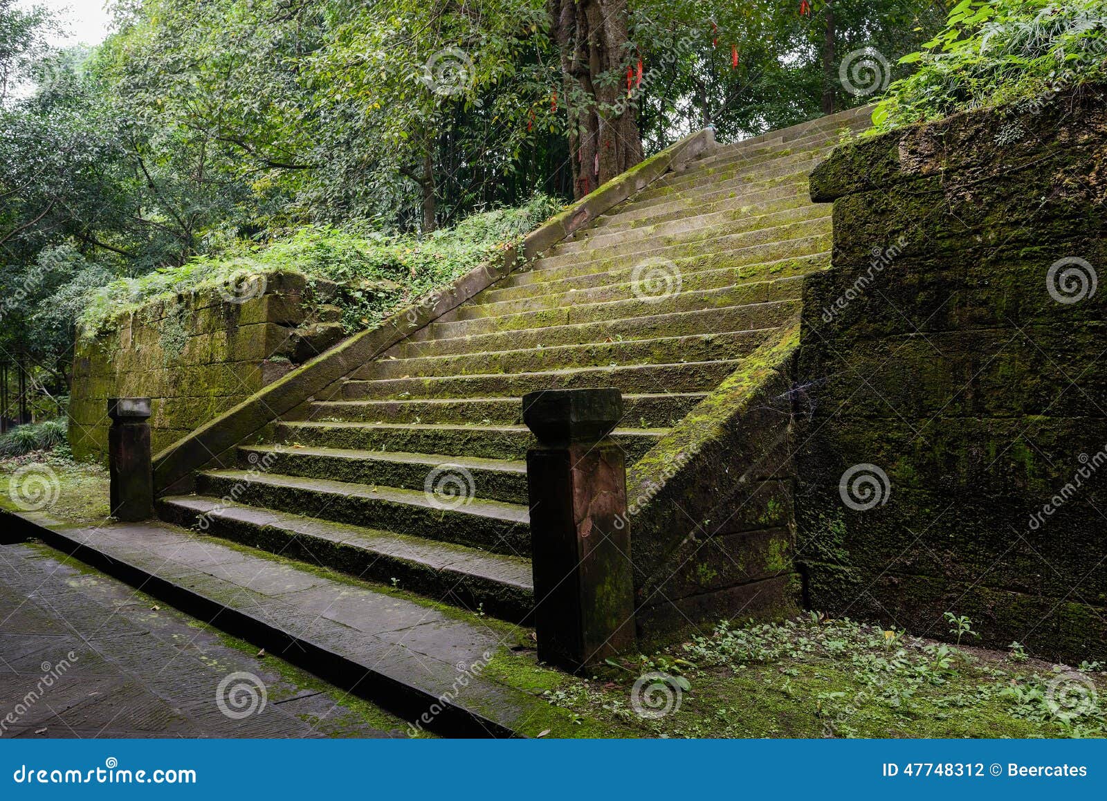 Lichen-covered Stone Steps in Shady Woods Stock Photo - Image of ...