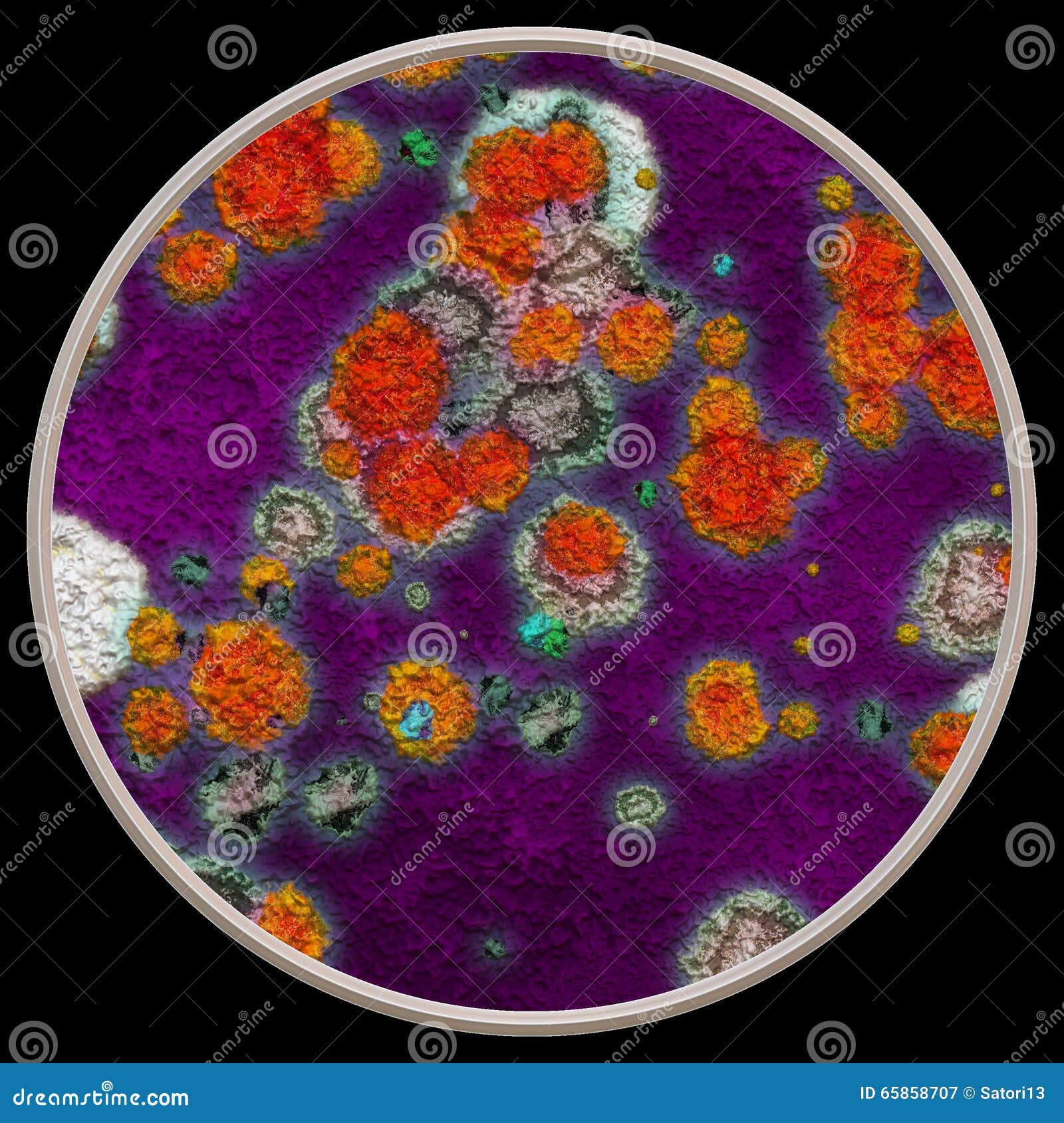 Lichen And Fungi Under Microscope Stock Image | CartoonDealer.com #65858707