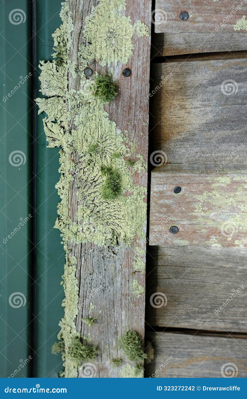 Lichen Growing on a Timber Frame Home Stock Photo - Image of building ...