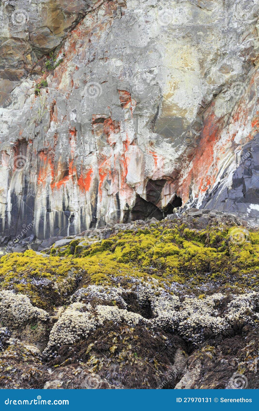 Lichen on Sea Beach Rock stock image. Image of natural - 27970131