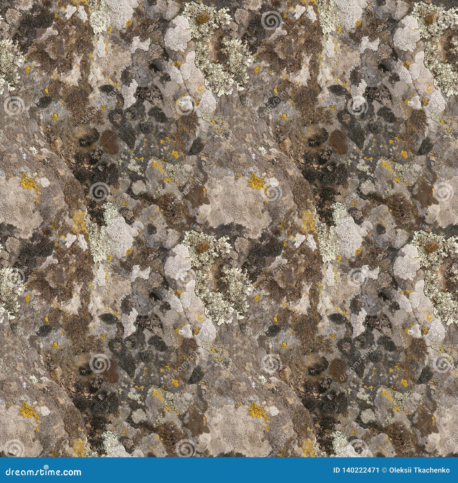 Lichen Spots On Stone. Seamless Pattern Of Realistic Background Royalty ...