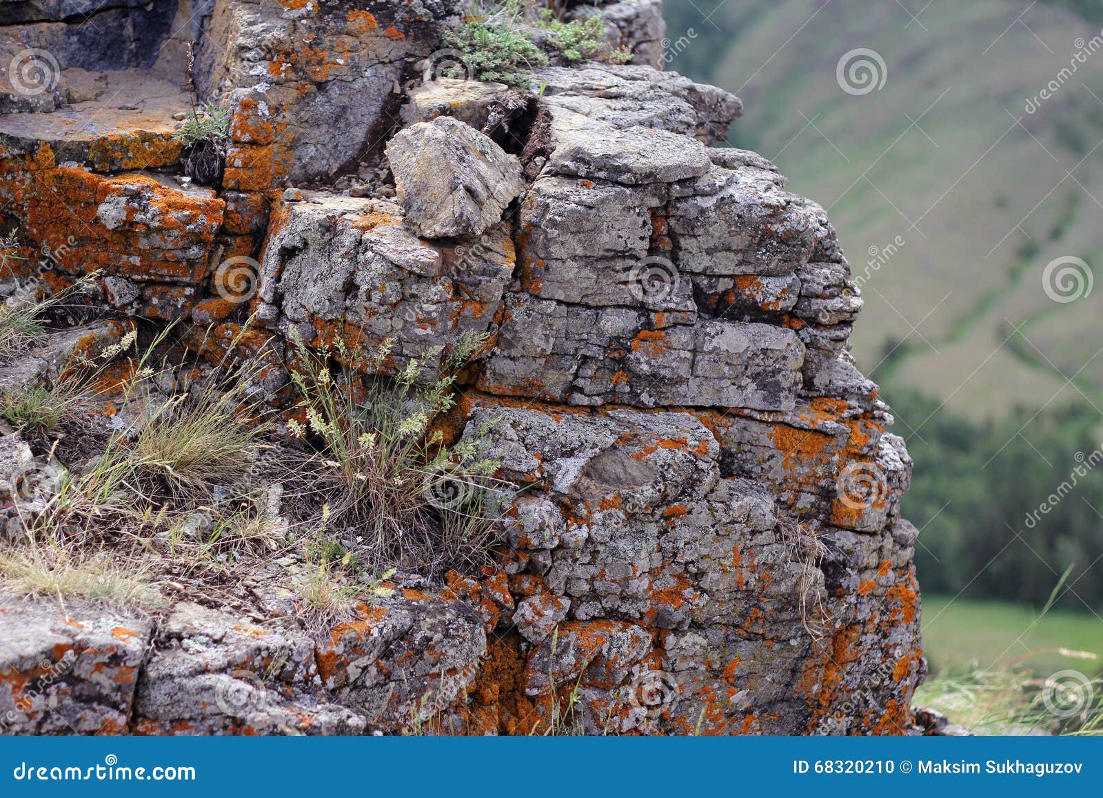Lichen stone cliff stock photo. Image of rock, colorful - 68320210