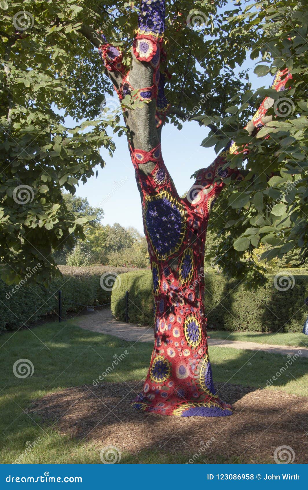 Lichen Tree stock photo. Image of lichen, plants, arboretum - 123086958