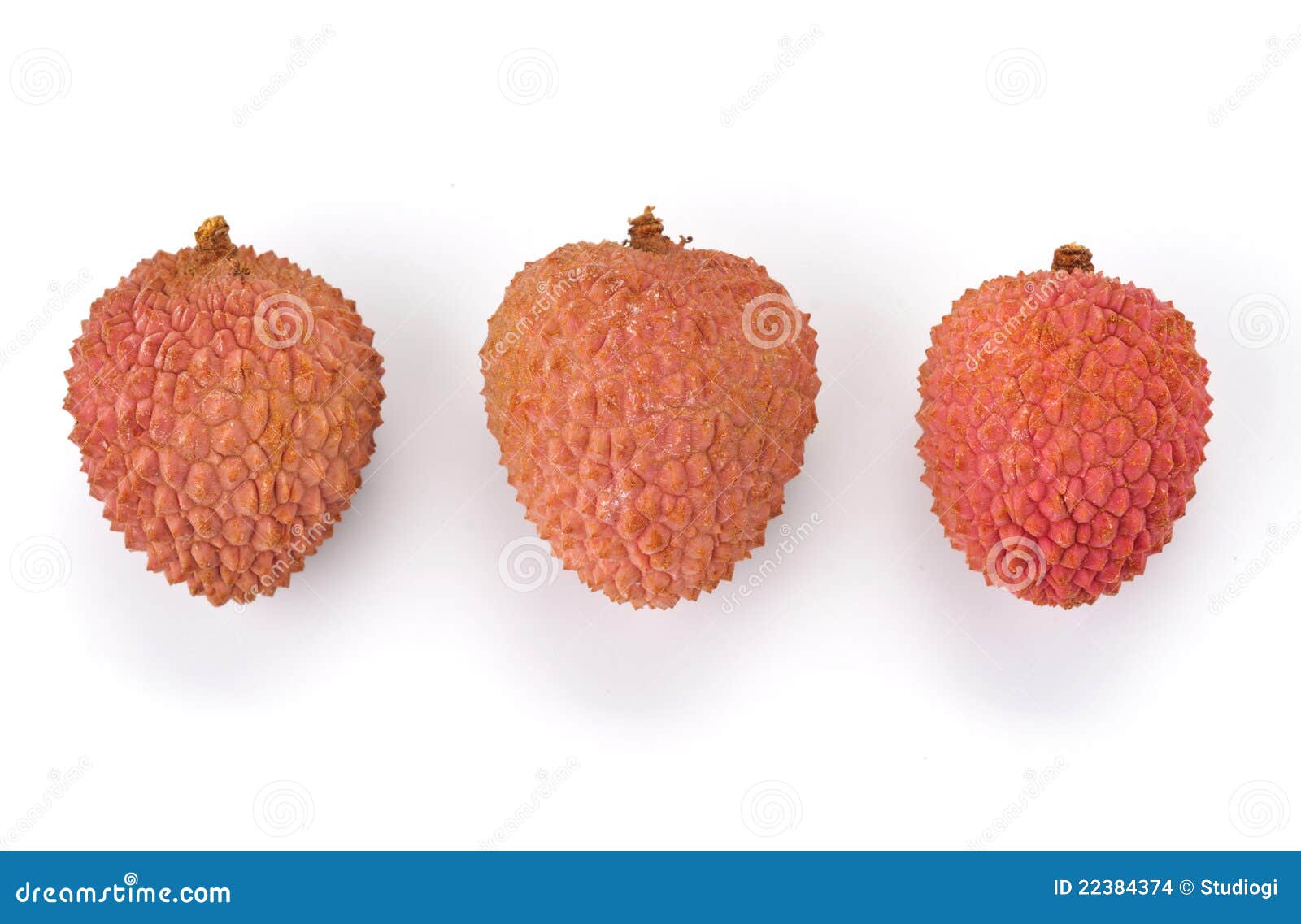 Lichi chinensis foto de archivo. Imagen de fecha, rojo - 22384374