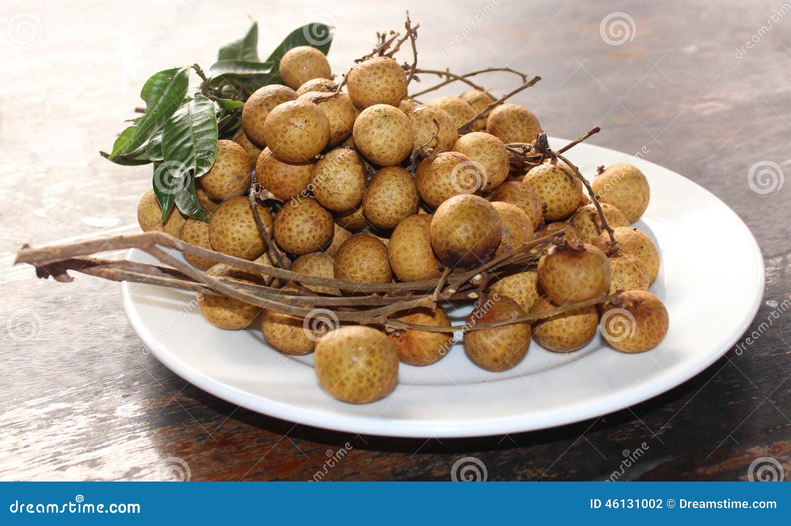 Lichi stock photo. Image of river, nature, lichi, federation - 46131002