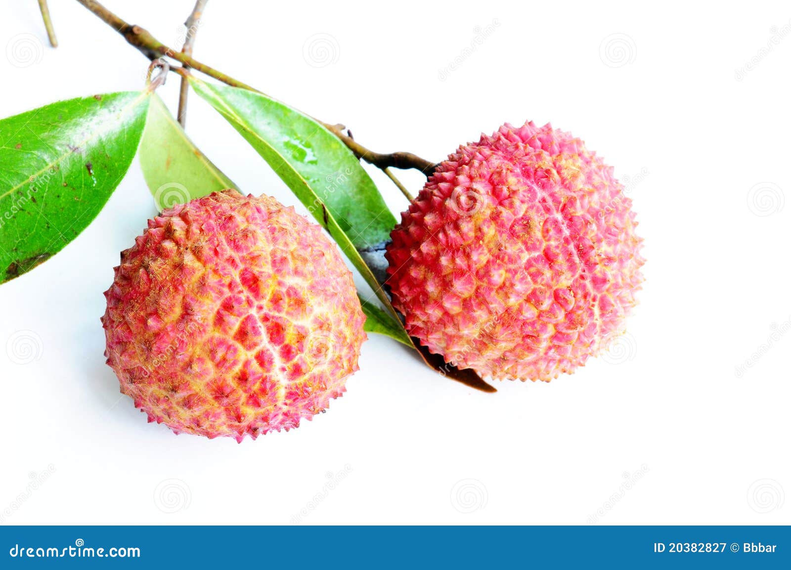 Lichi fruits stock image. Image of diet, lychee, china - 20382827