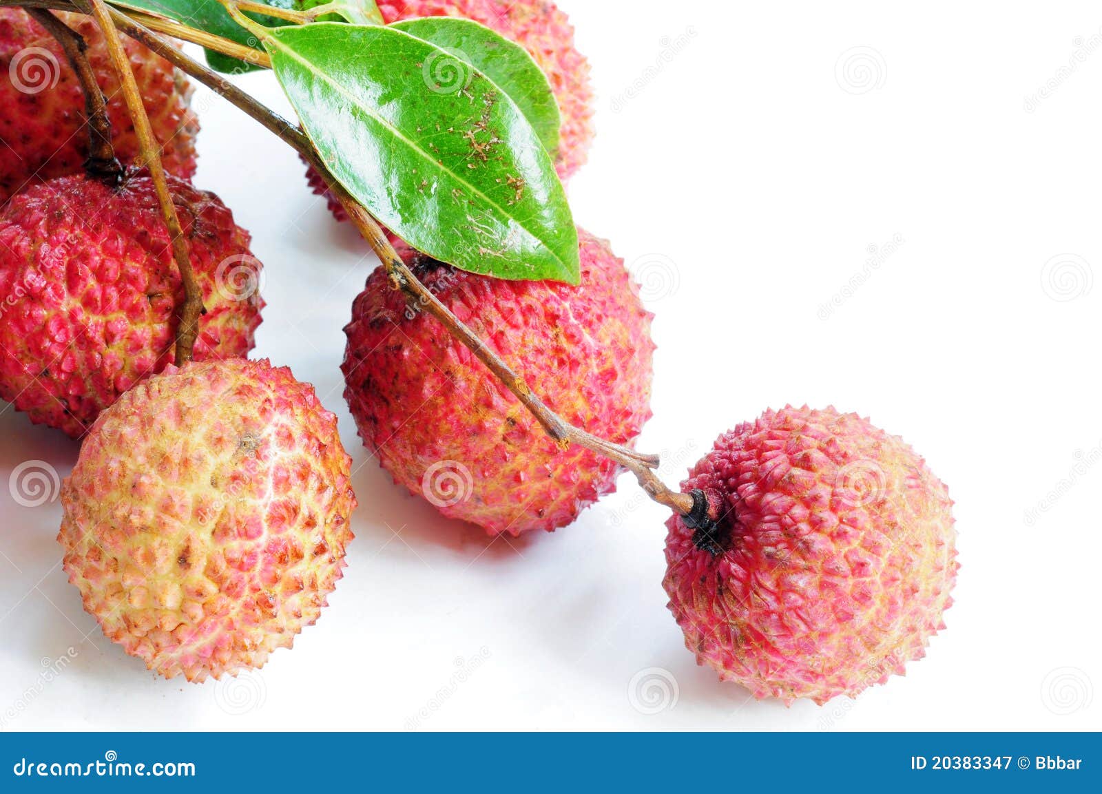 Lichi Stock Photography | CartoonDealer.com #23511200