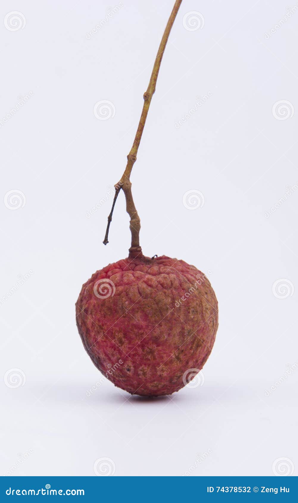 Lichi stock photo. Image of healthy, objects, health - 74378532