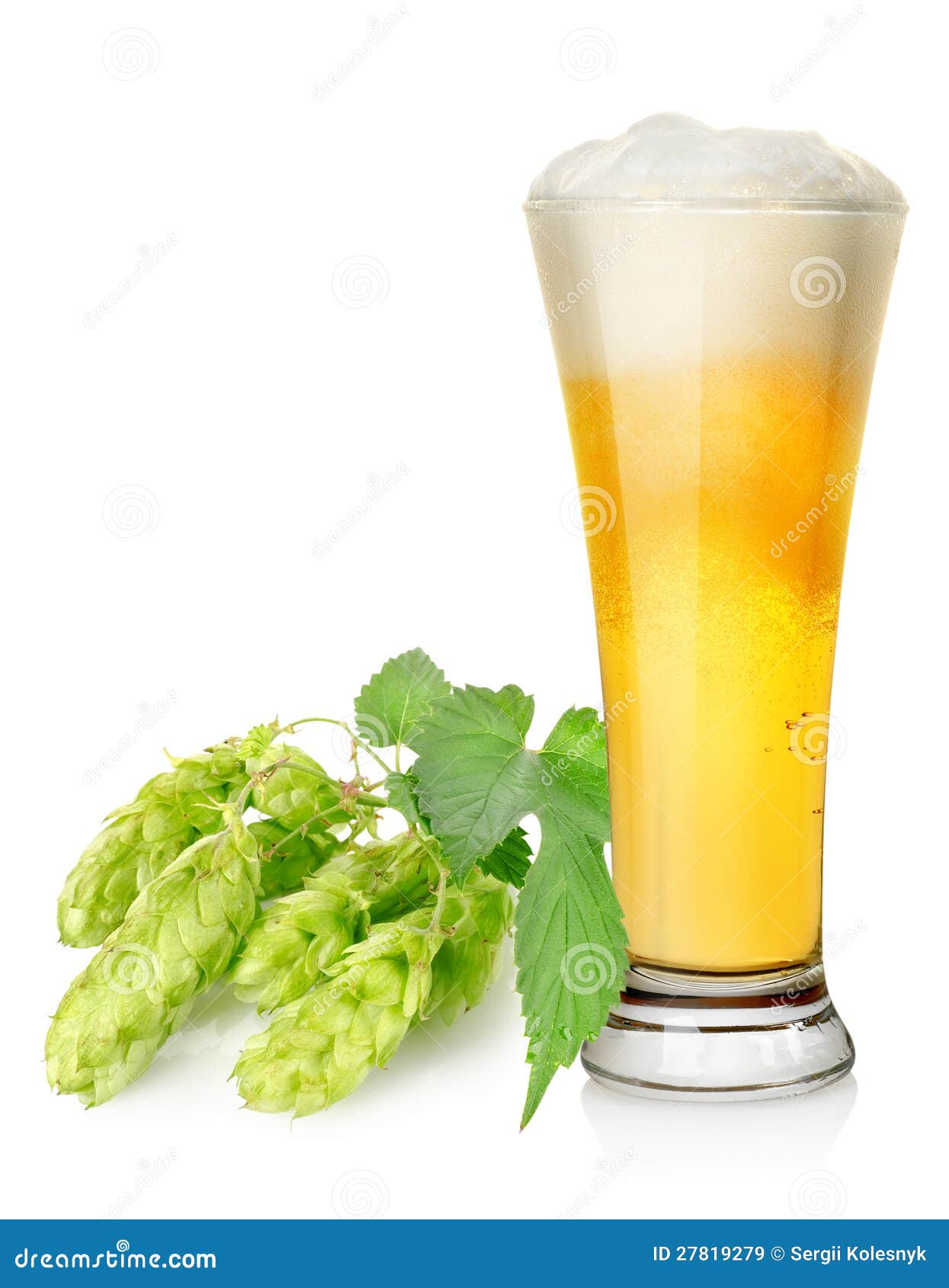 Lichte bier en hop stock afbeelding. Image of ingrediënt - 27819279
