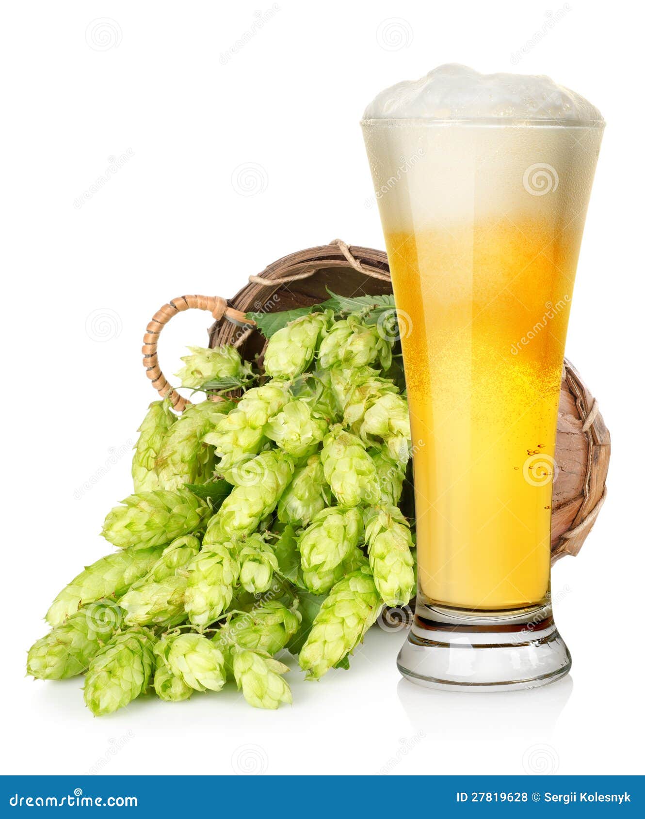 Lichte bier en hop in mand stock foto. Image of goud - 27819628