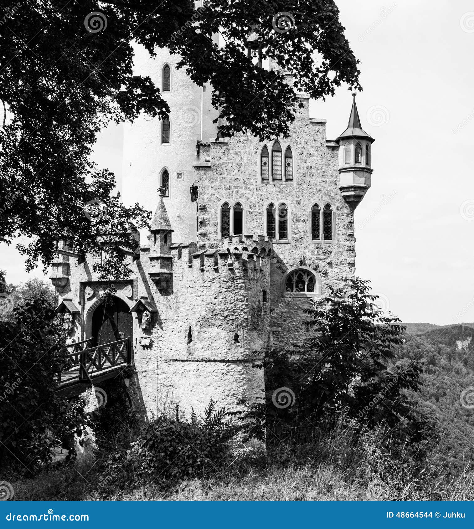 Lichtenstein Castle Behind Trees Stock Photo - Image of building ...