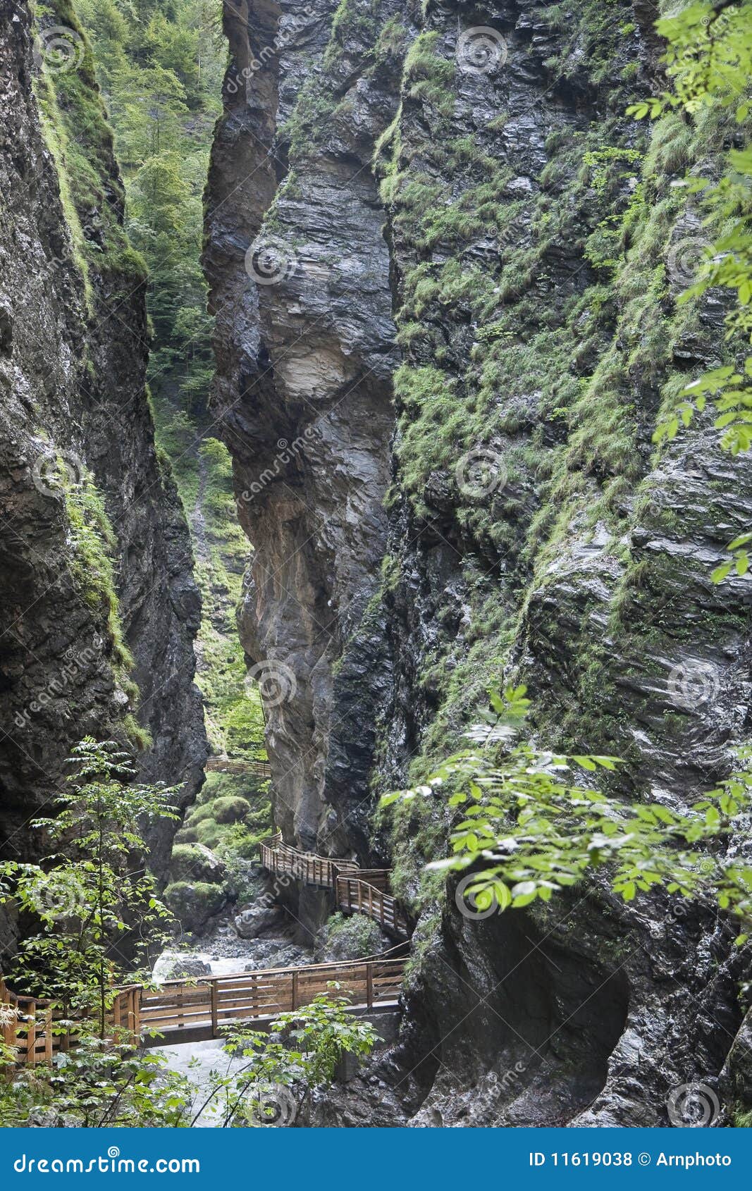 Lichtensteinklamm Gorge stock photo. Image of water, plants - 11619038