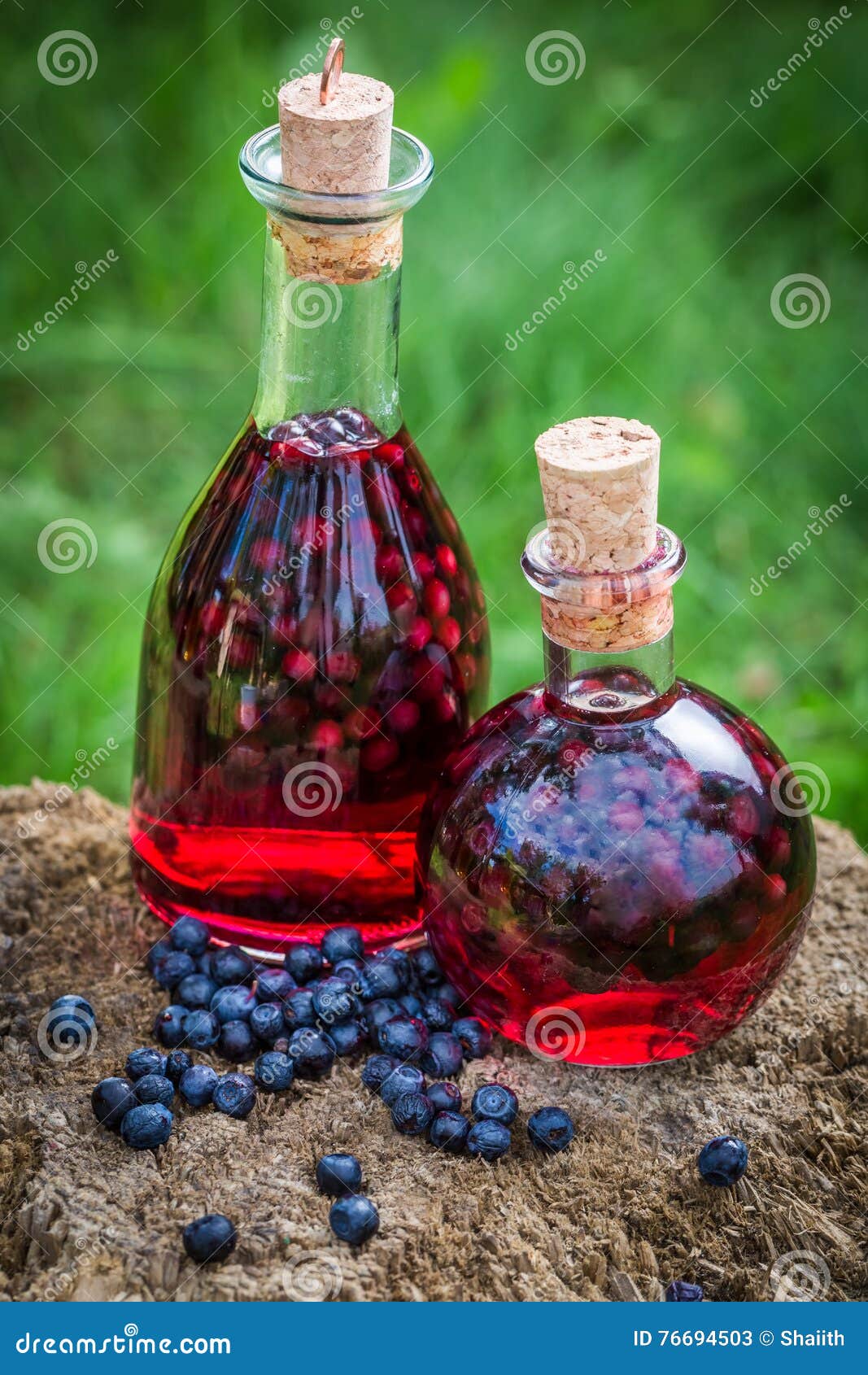 Licor Caseiro Em Uma Garrafa Com Mirtilos E álcool Imagem de Stock ...