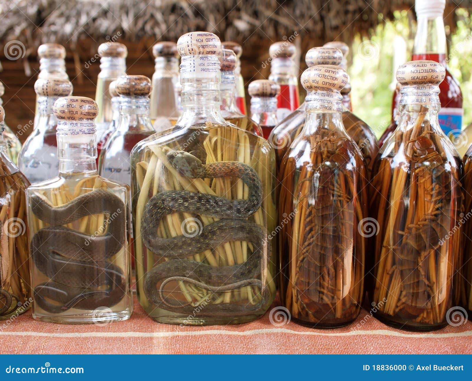 Licor de la serpiente foto de archivo. Imagen de botella - 18836000