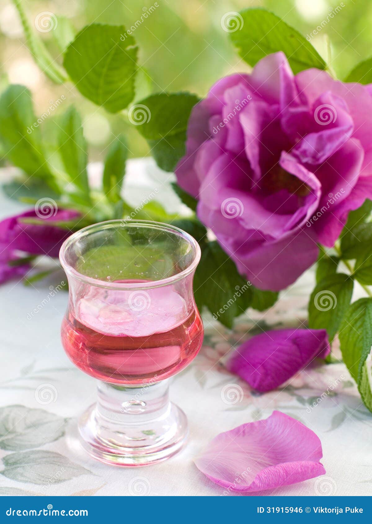 Licor de Rosa foto de stock. Imagem de vidro, erva, alimento - 31915946