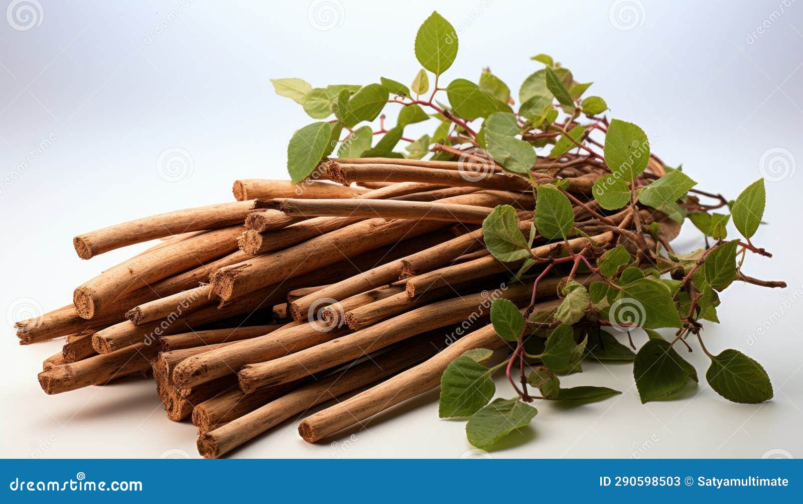 Yashtimadhu - Glycyrrhiza Glabra Ayurvedic Herb, Blossom. Digital Art ...