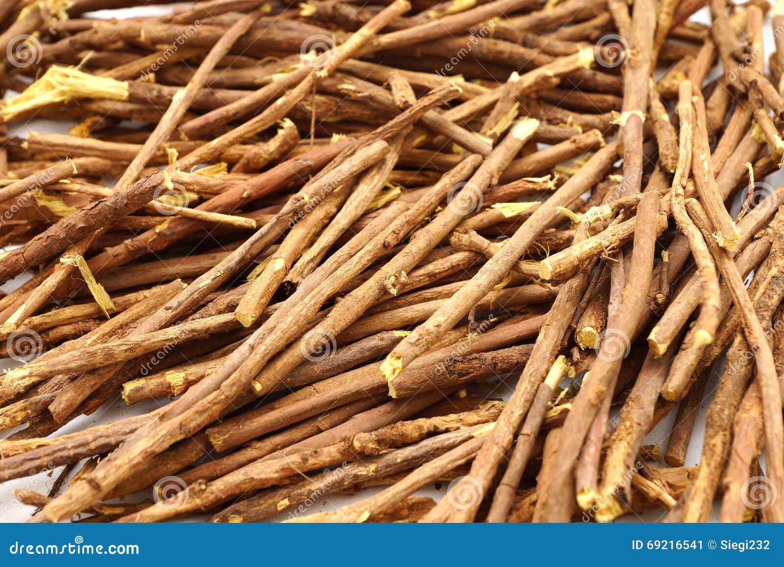 Licorice root stock image. Image of remedy, antiinflammatory - 69216541