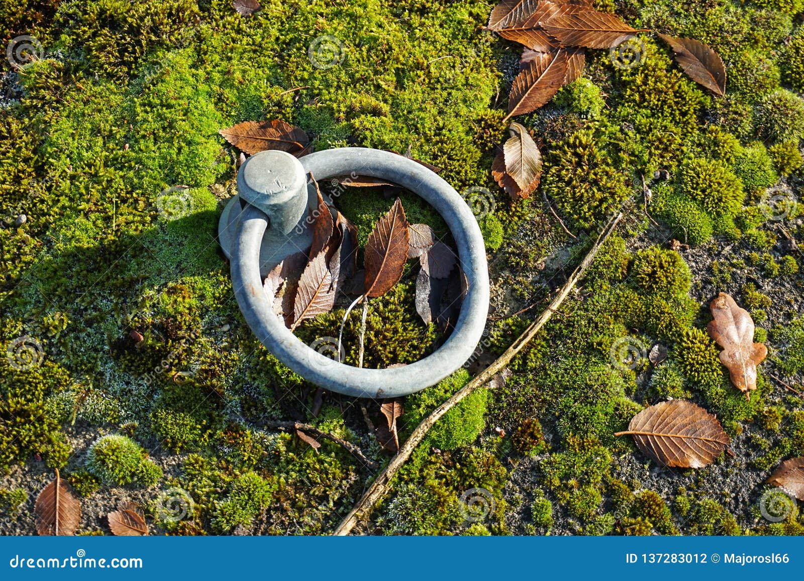 Lid of the Crypt in the Public Cemetery Stock Photo - Image of ...