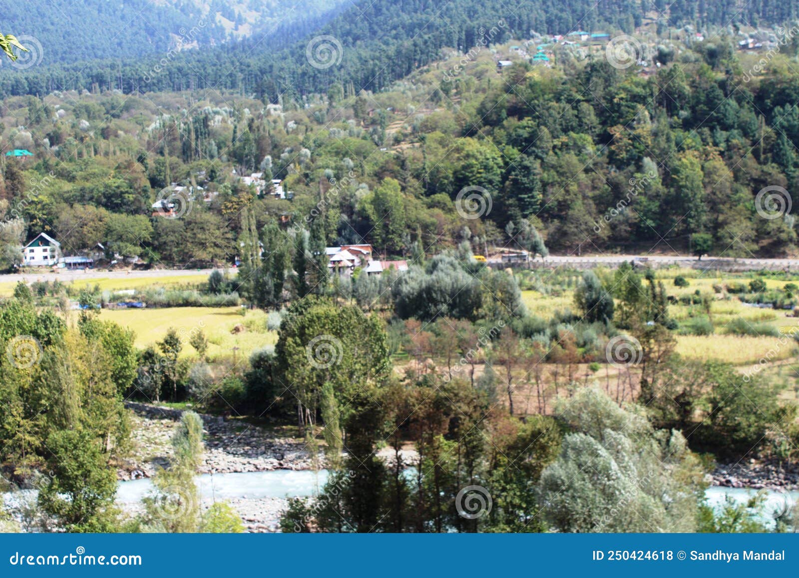 Lidder River Flowing through the Valley in Pahalgam, Surrounded by ...