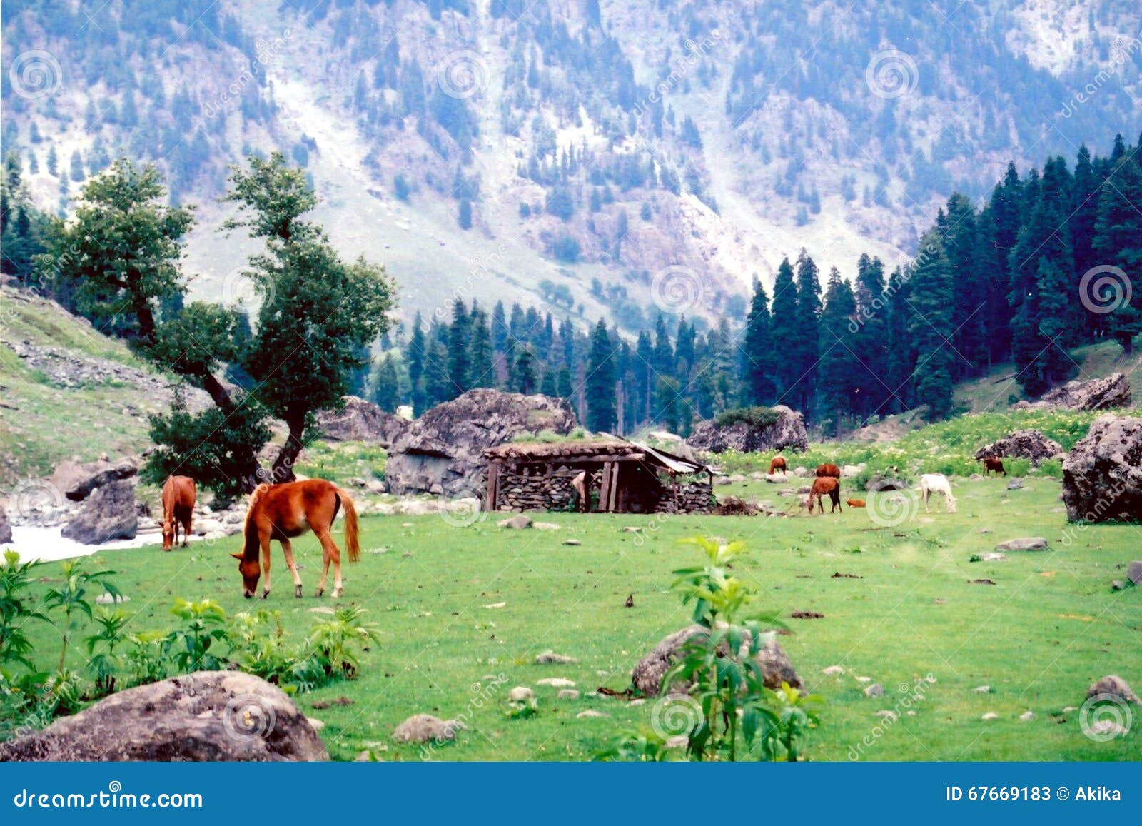 Lidder valley (2) stock image. Image of trip, landscape - 67669183