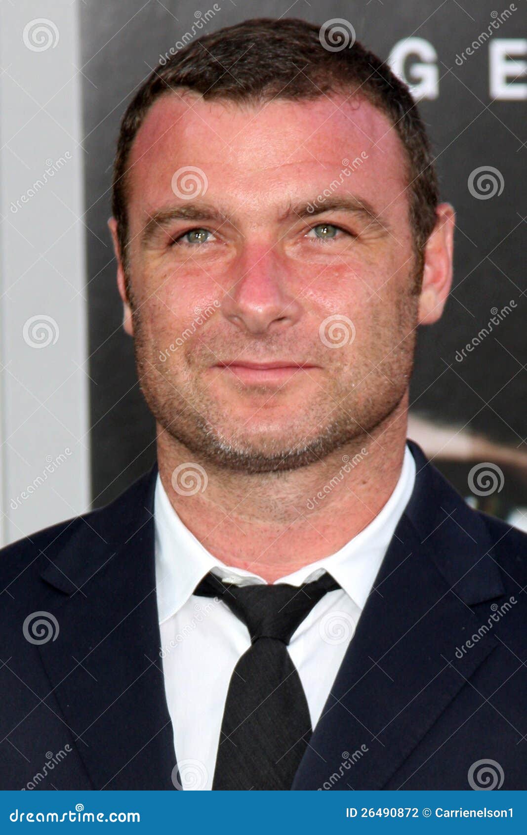 Liev Schreiber editorial photography. Image of liev, theater - 26490872