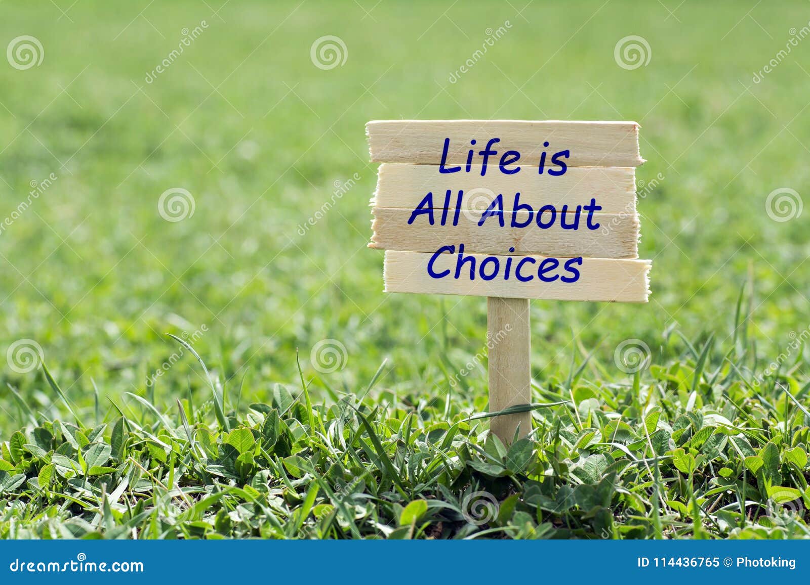 Life Choices Concept, Success And Failure Signpost, On Blue Sky ... Life Choices Concept, Success And Failure Signpost, On Blue Sky ...
