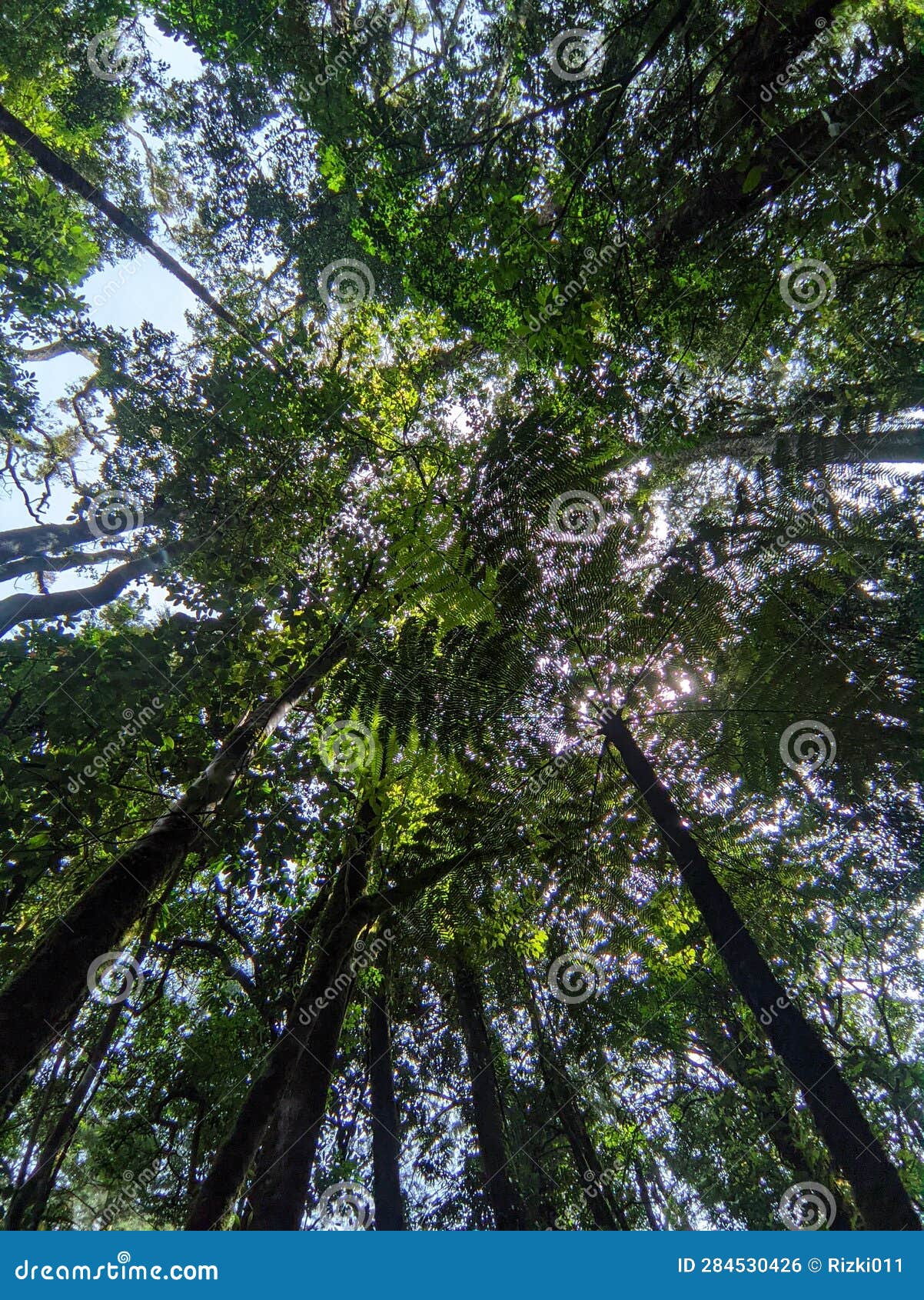 Life is the Art of Drawing without an Eraser Stock Photo - Image of ...