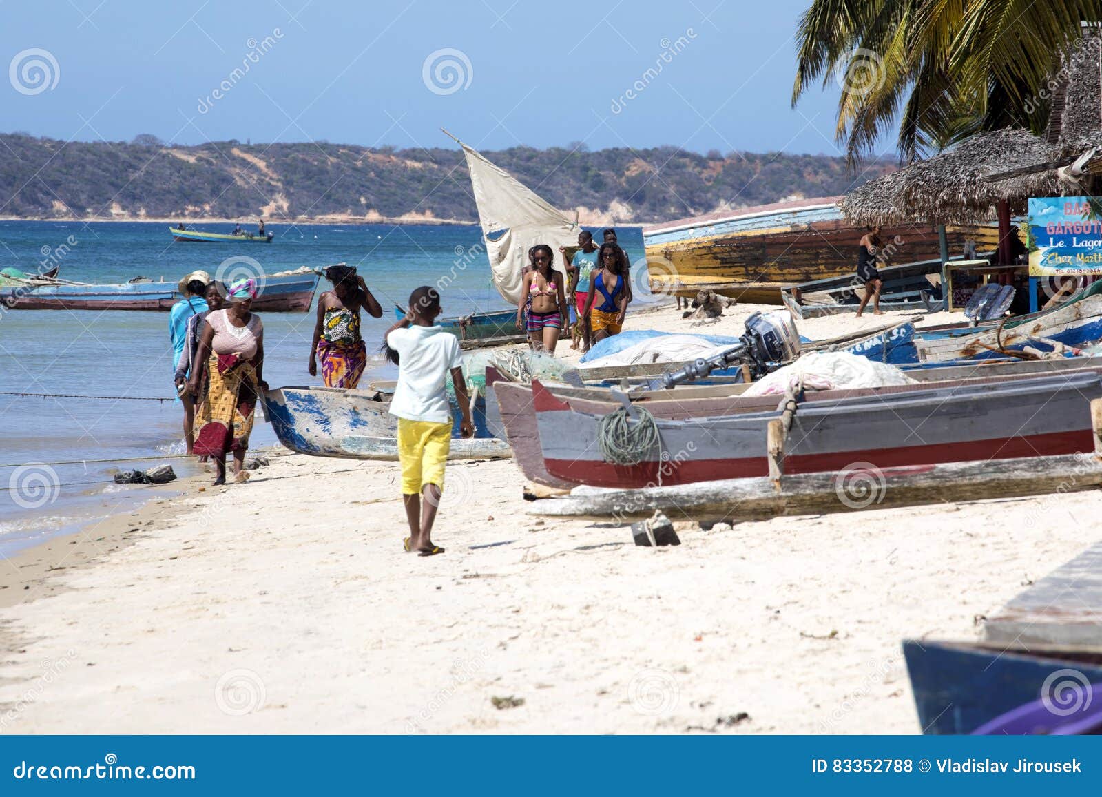 Life on the Beaches of the Indian Ocean North of Madagascar Editorial ...