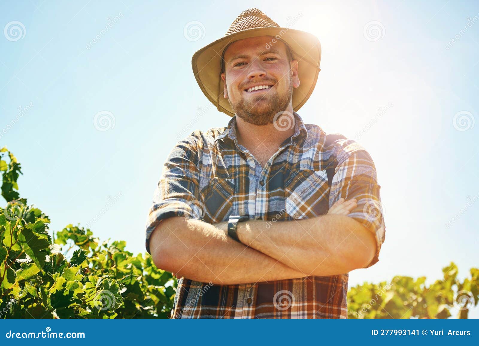 Life is Better on the Farm. a Middle-aged Farmer Posing on a Vineyard ...