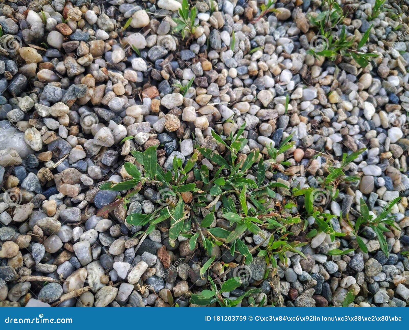 Life Can Break Even the Strongest Rock Stock Image - Image of break ...