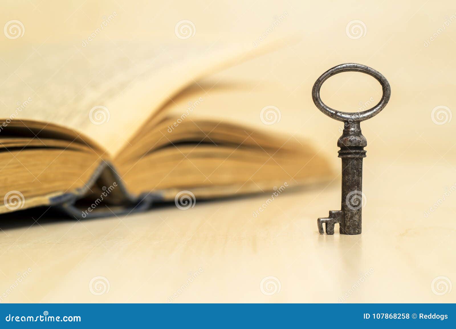 12,290 Key Motivation Stock Photos - Free & Royalty-Free Stock Photos ...