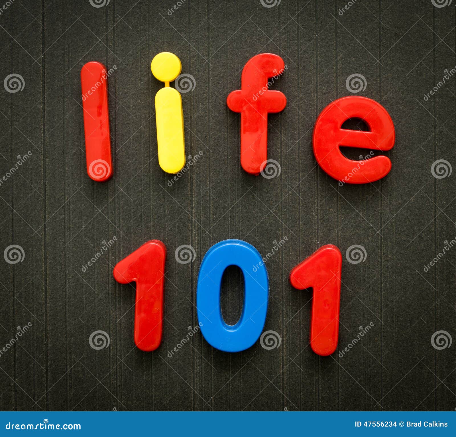 Life 101 concept stock photo. Image of education, wisdom - 47556234