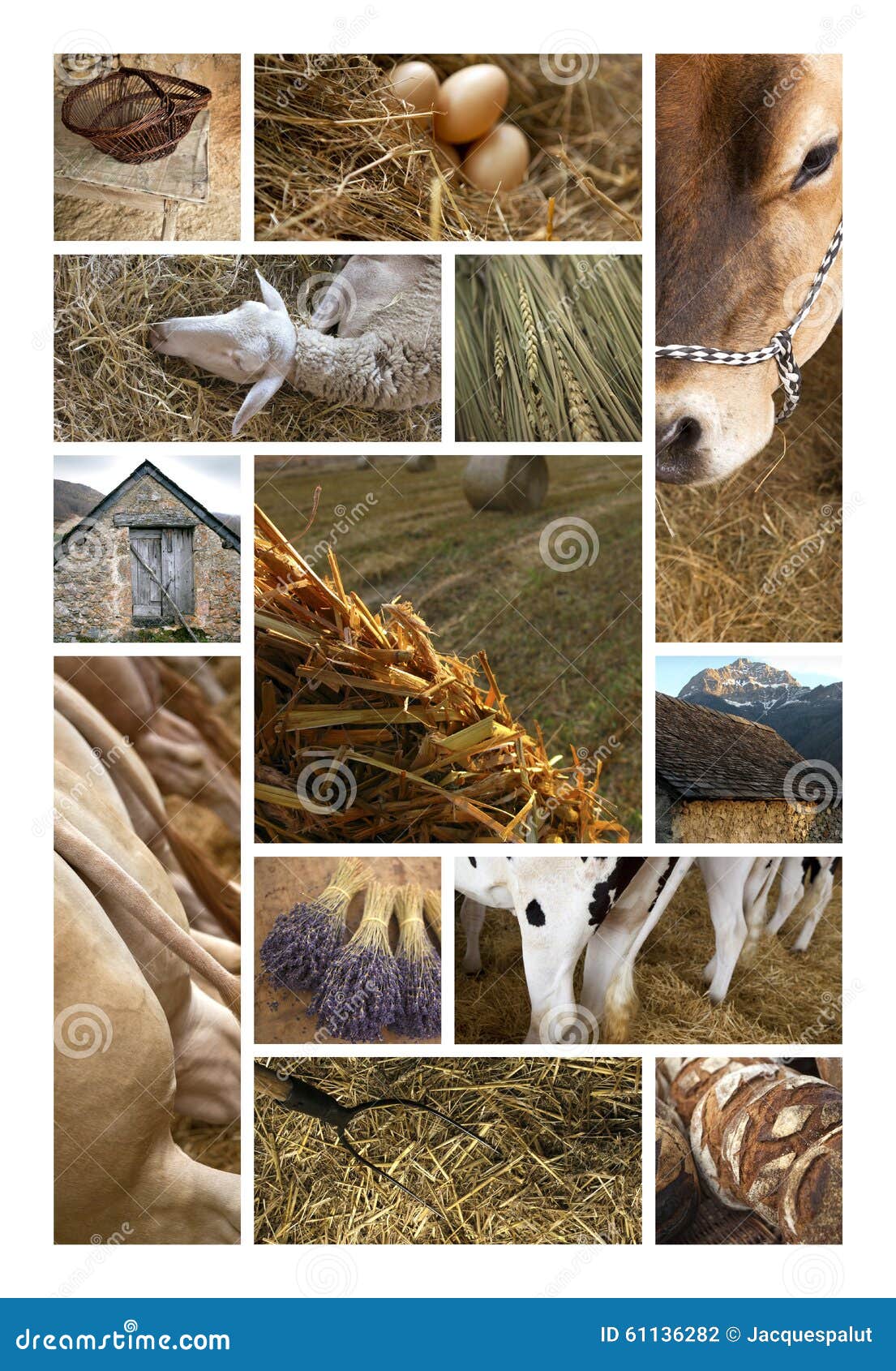 2,941 Countryside Collage Photos - Free & Royalty-Free Stock Photos ...