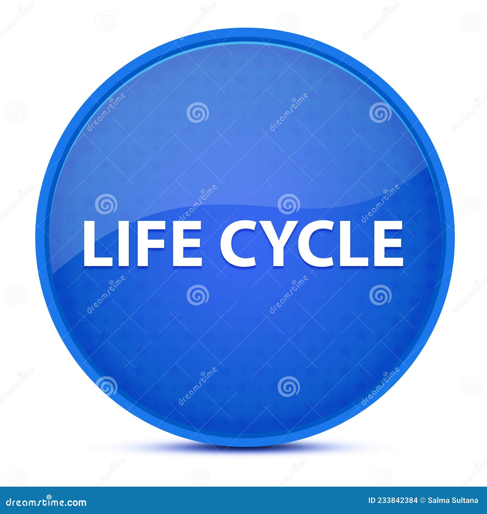 Life Cycle Aesthetic Glossy Blue Round Button Abstract Stock ...