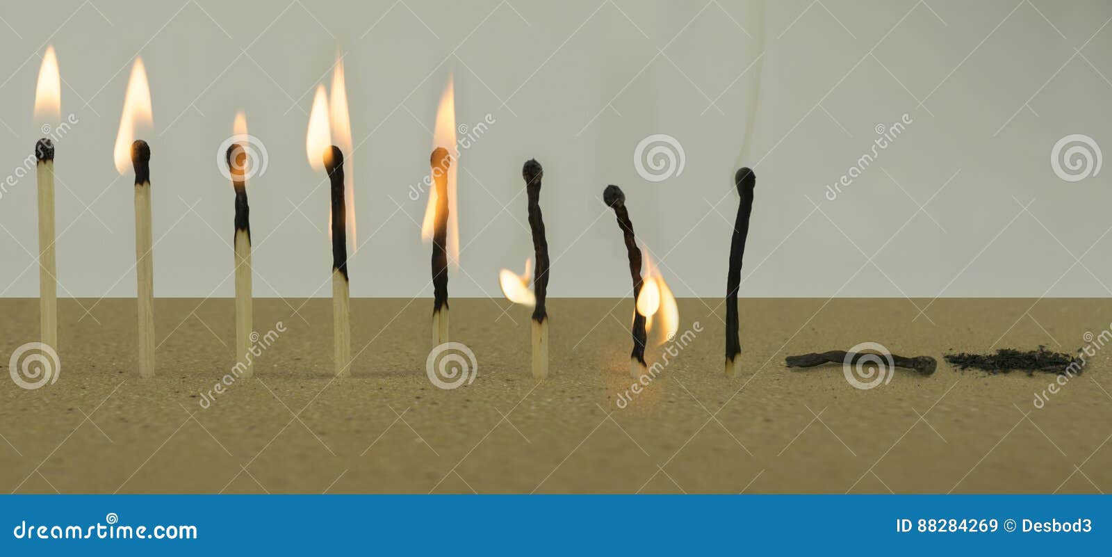 Life Cycle Of Male Great Mormon Butterfly From Caterpillar Royalty-Free ...