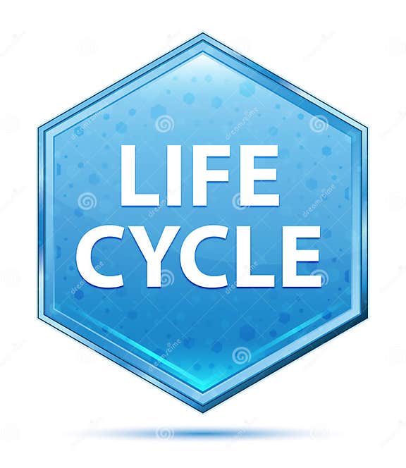Life Cycle Crystal Blue Hexagon Button Stock Illustration ...