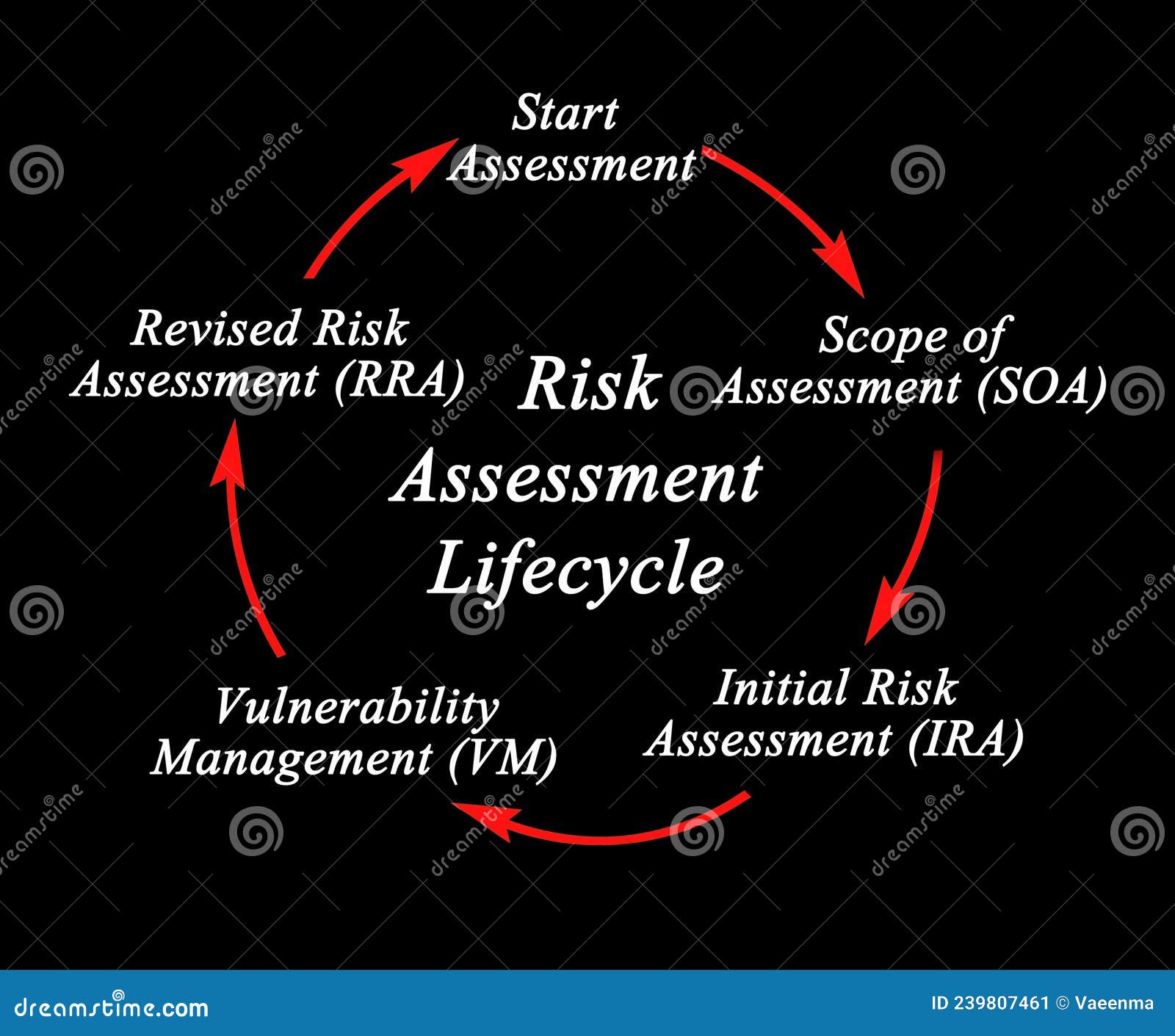 Lifecycle Of Risk Assessment Stock Image | CartoonDealer.com #239807461