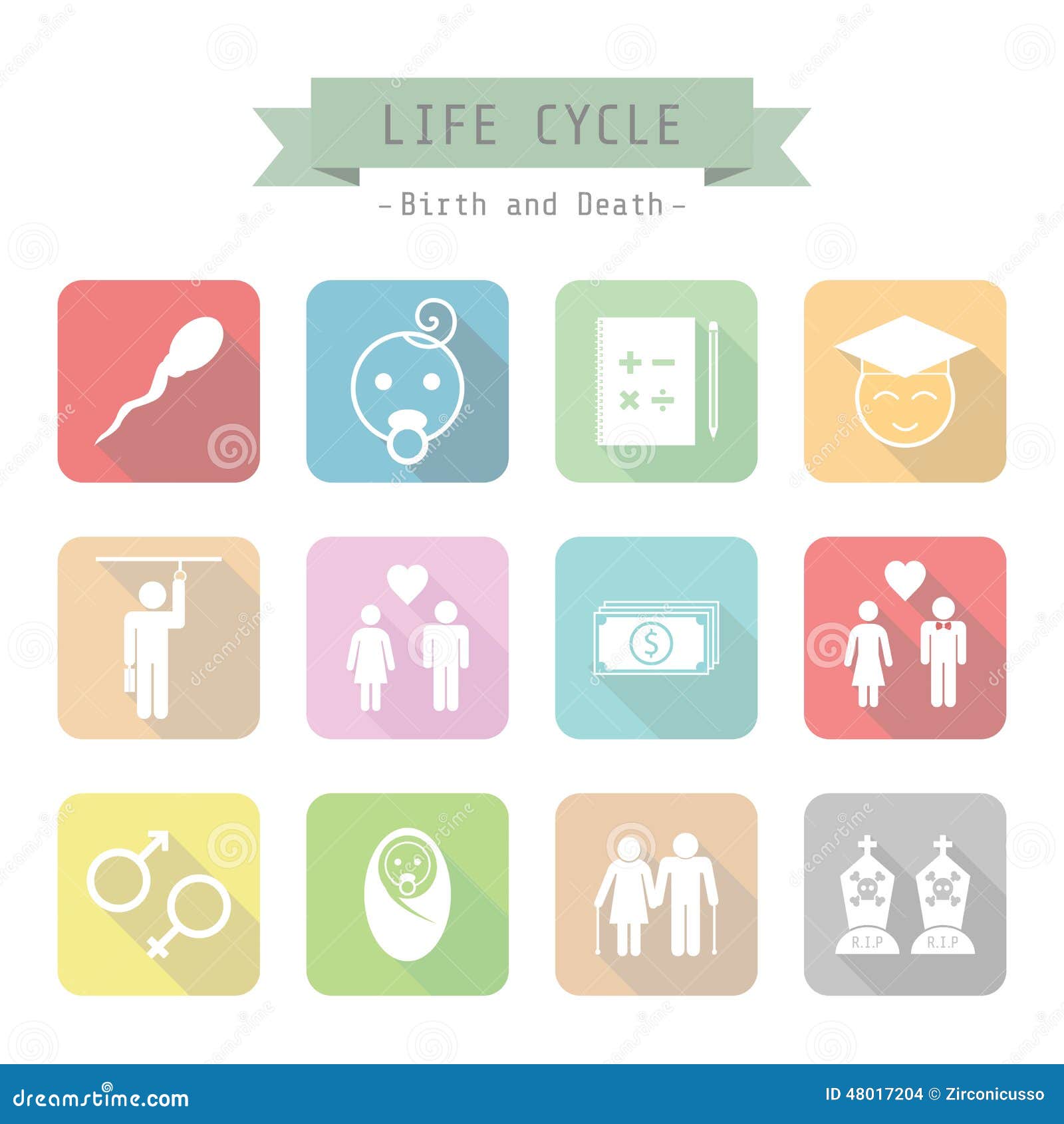 Life cycle stock illustration. Illustration of styudy - 48017204