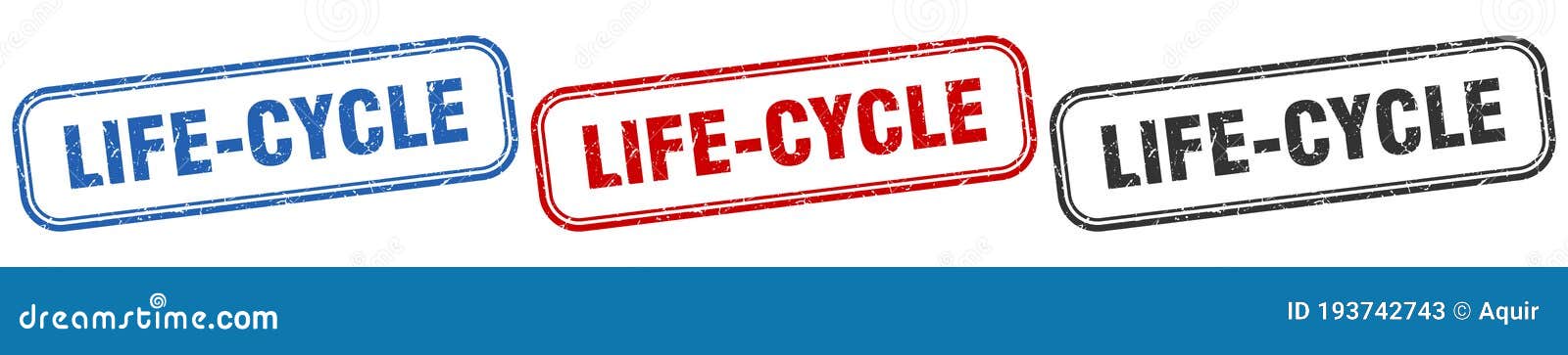 Life-cycle Square Isolated Sign Set. Life-cycle Stamp Stock Vector ...