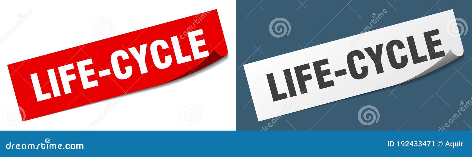 Life-cycle Sticker. Life-cycle Sign Set Stock Vector - Illustration of ...