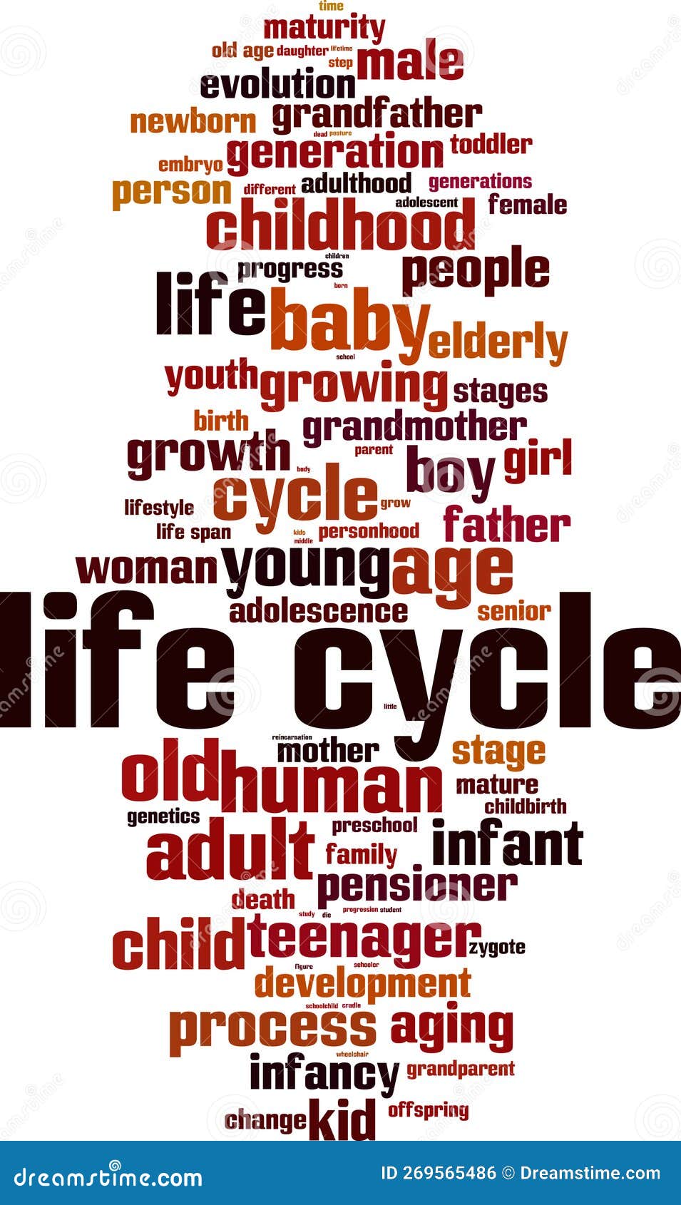 Life cycle word cloud stock vector. Illustration of development - 269565486