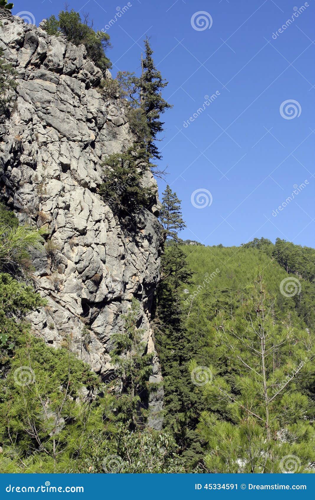 Life among the dead stones stock image. Image of magical - 45334591