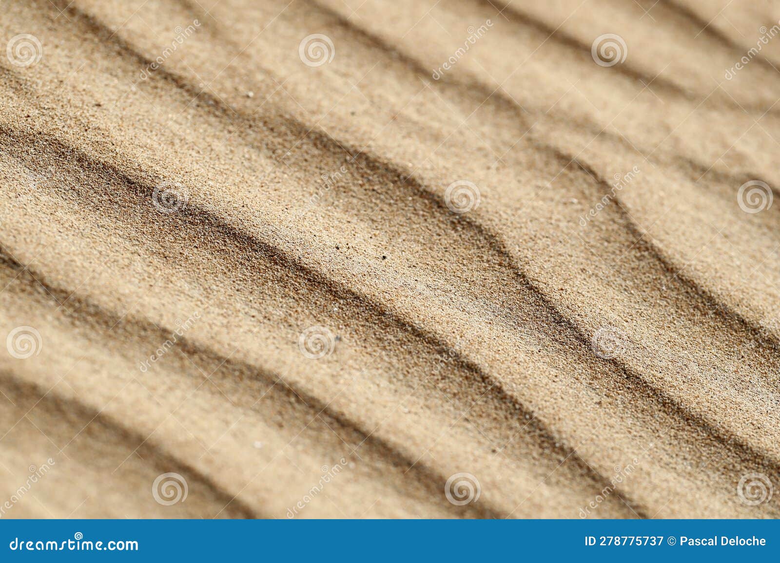 Daily life. Dubai stock image. Image of detail, desert - 278775737