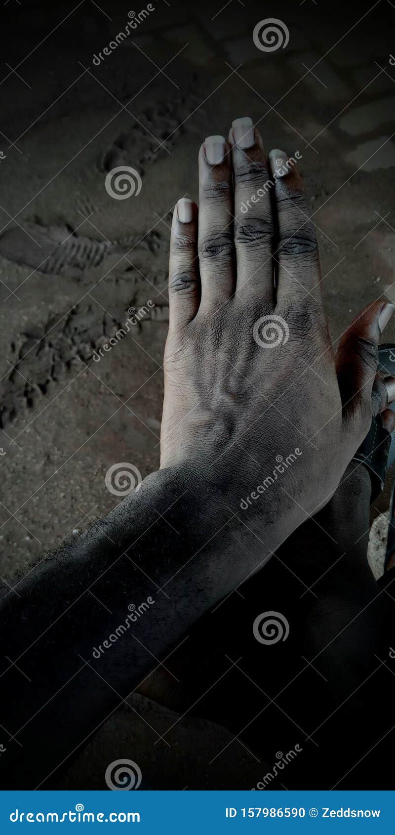 Life from dust stock photo. Image of birth, return, dust - 157986590