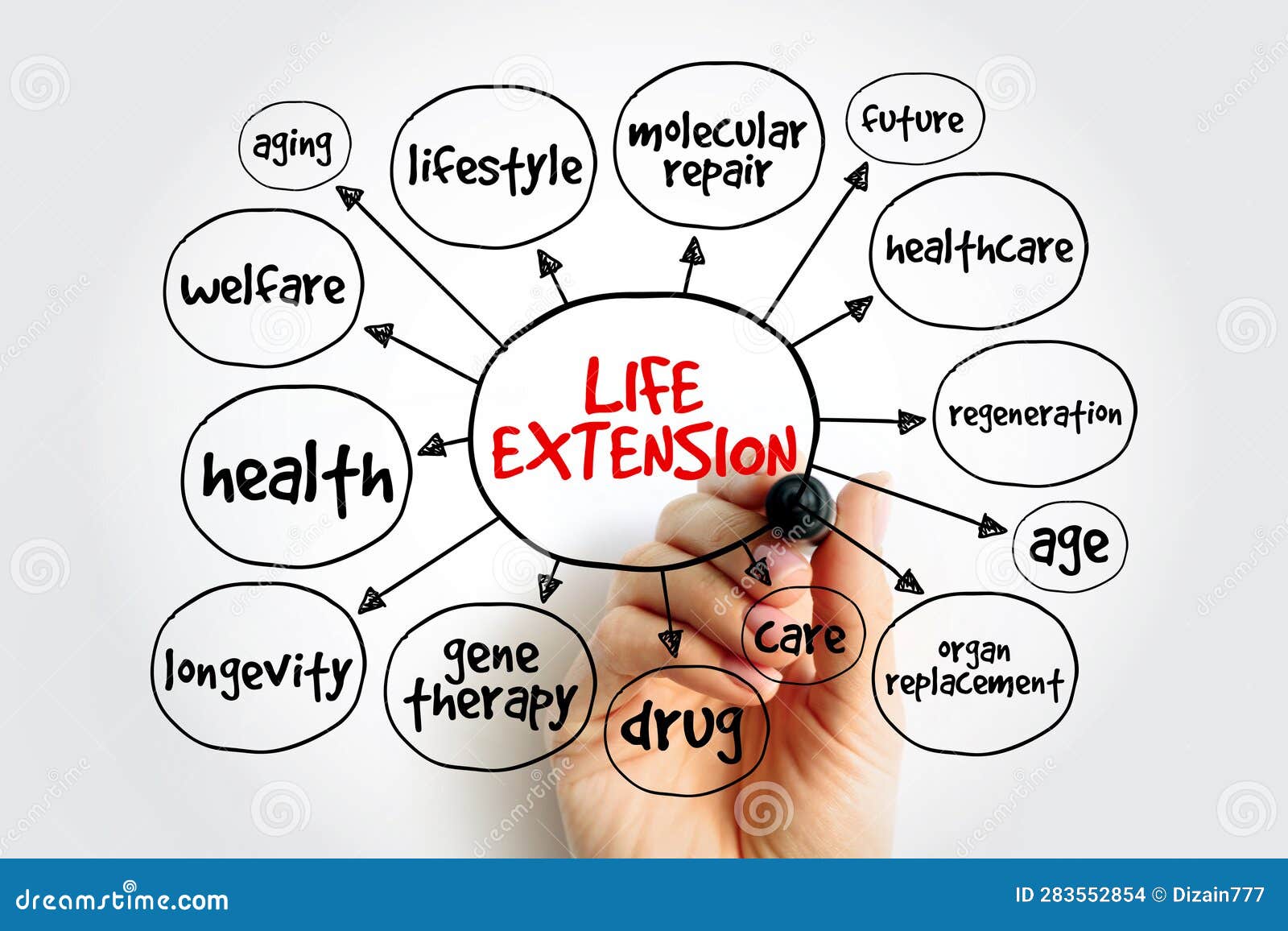 Life Extension Mind Map, Concept for Presentations and Reports Stock ...