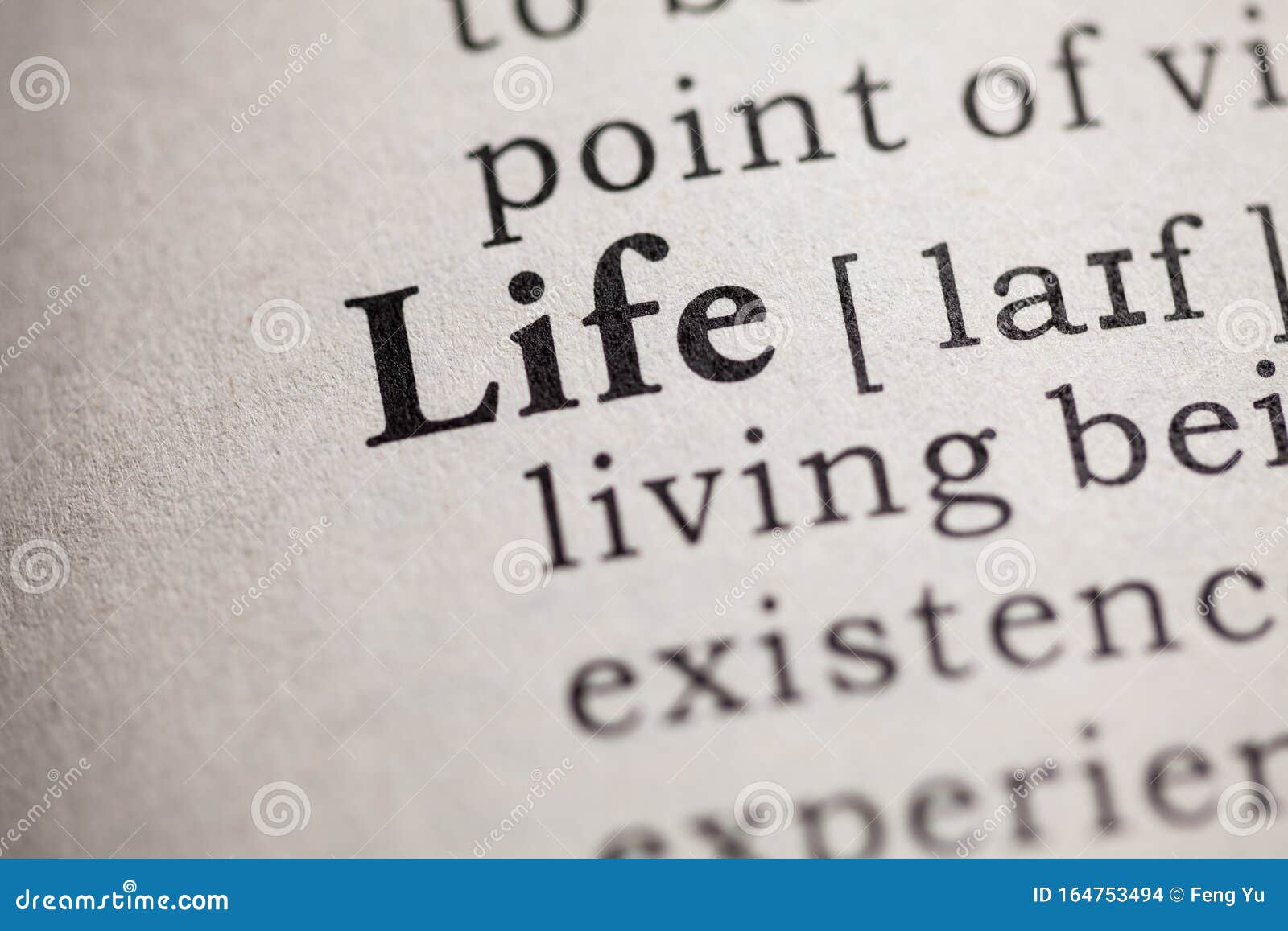 Understand Word Definition Text In Dictionary Page Stock