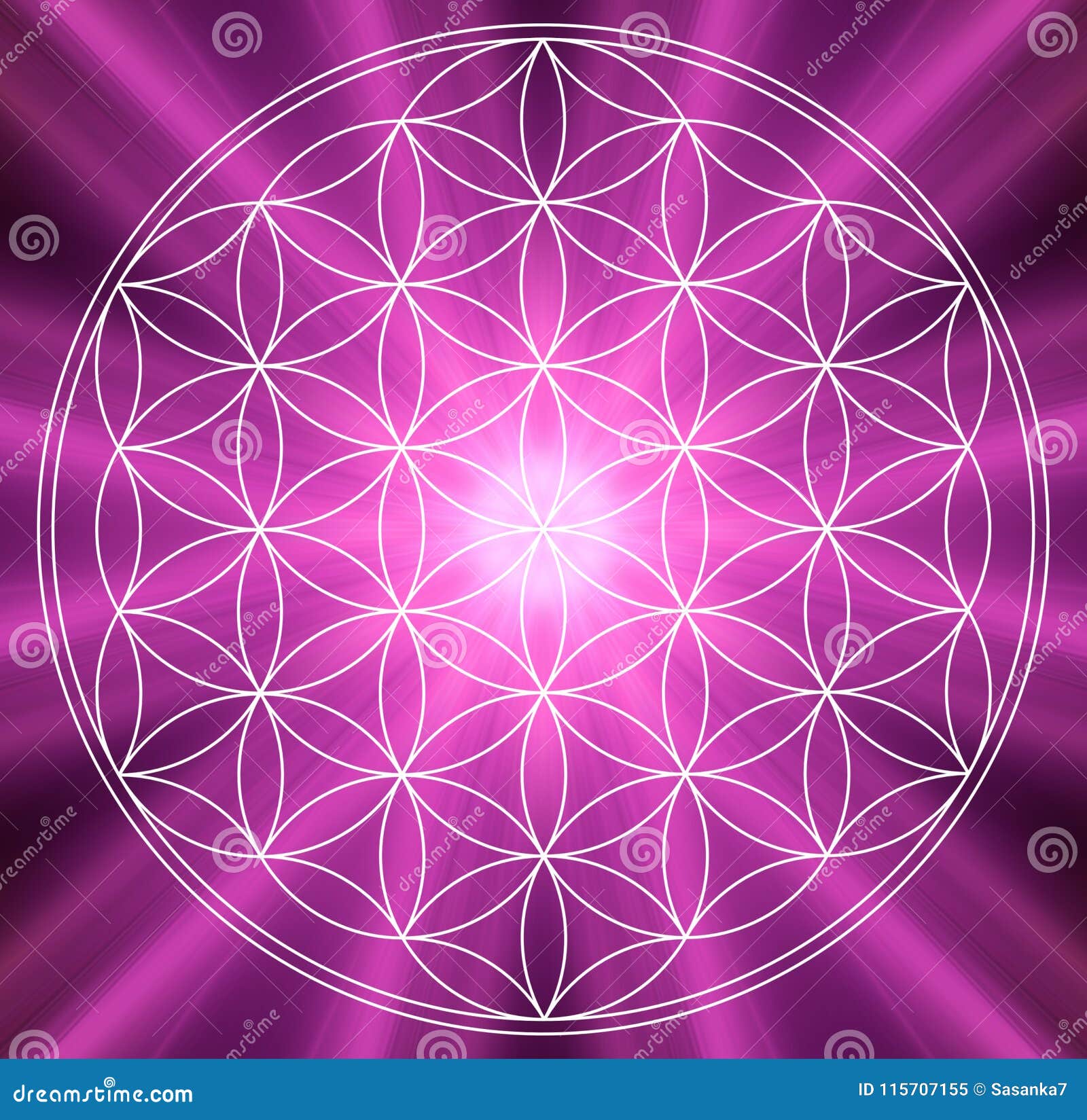 Life flower background stock illustration. Illustration of flower ...