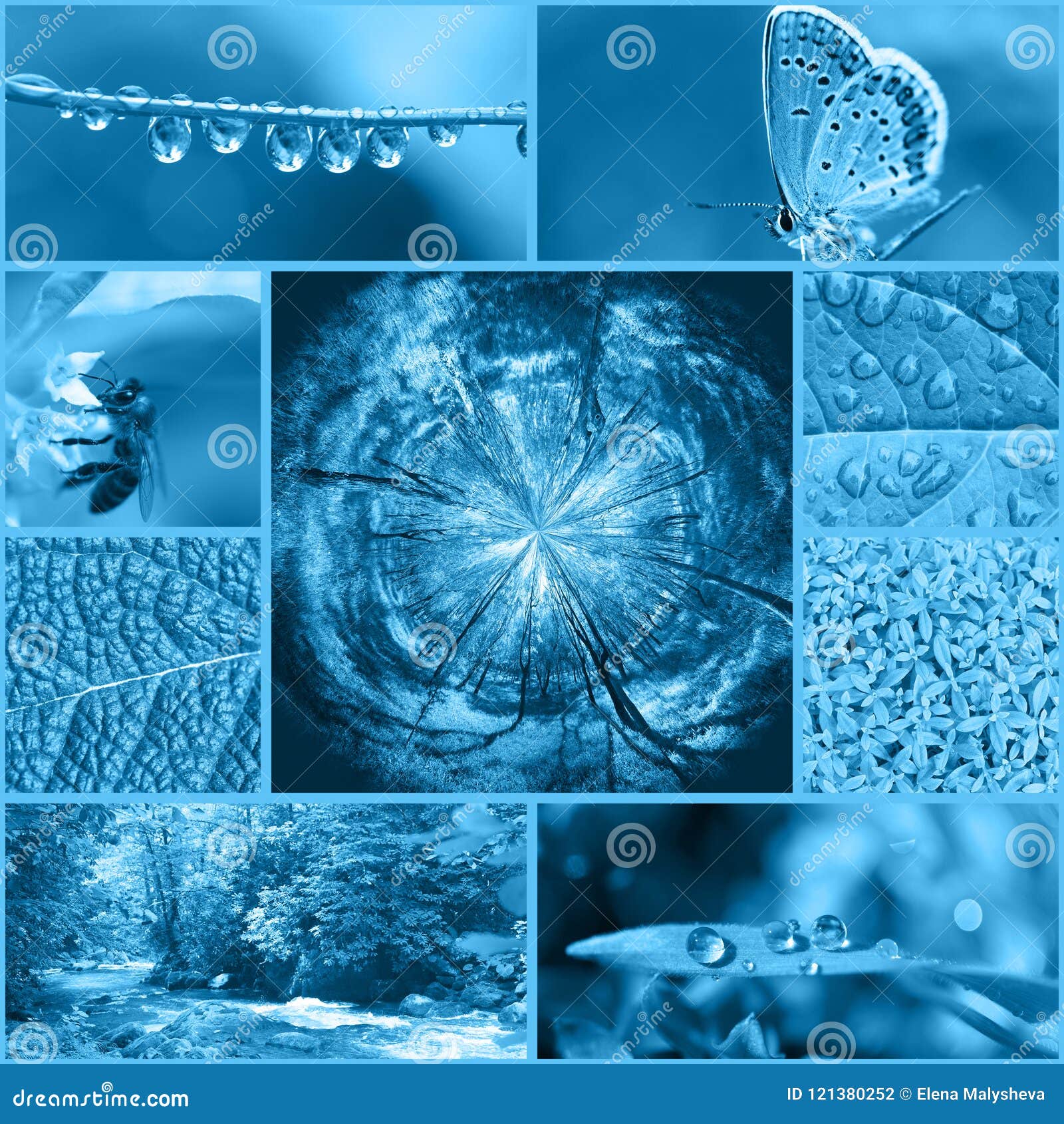 Collage With Blue Morpho Butterfly Flying Up On White Background ...