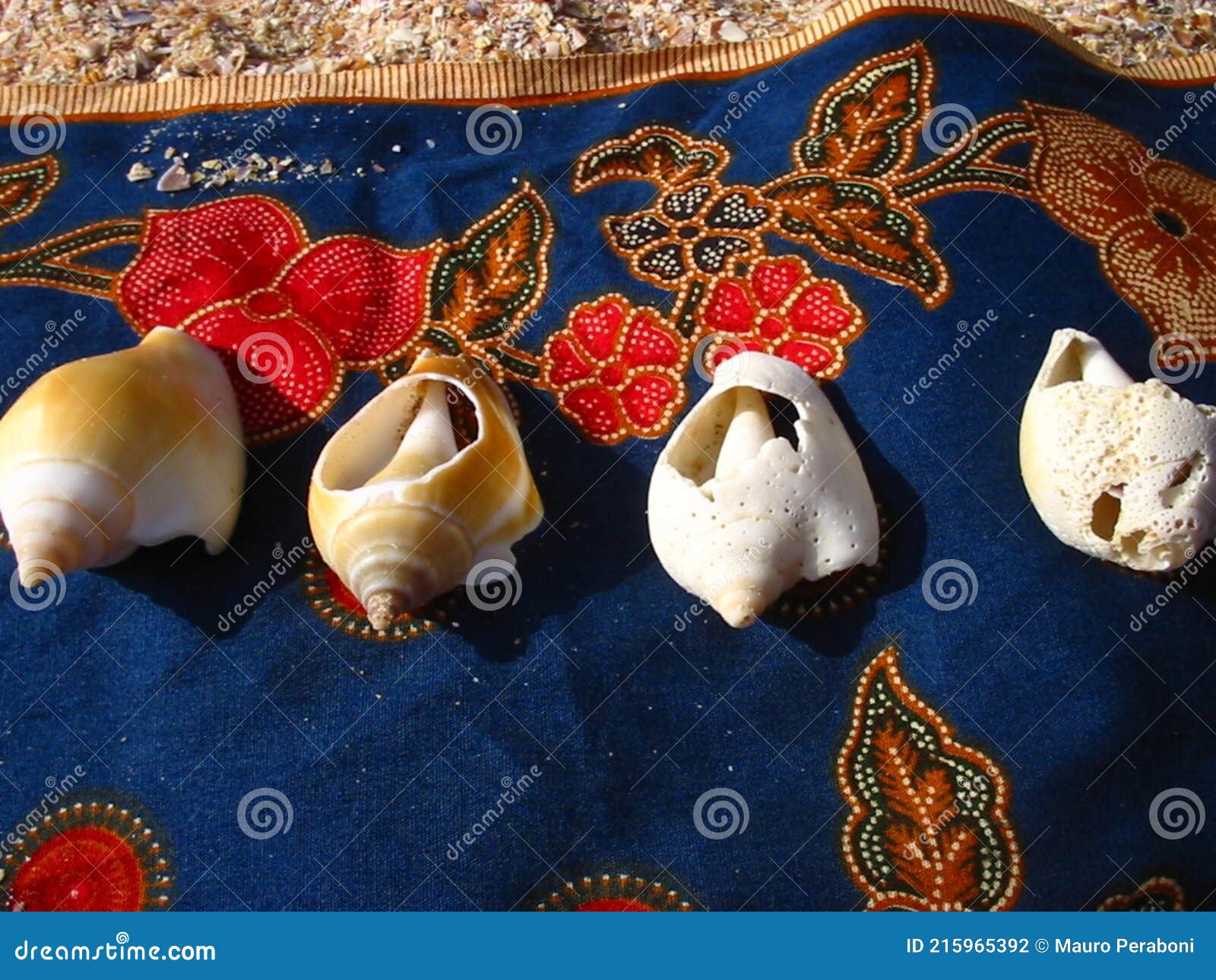 Life Goes on Also for a Shell Stock Photo - Image of textile, life ...