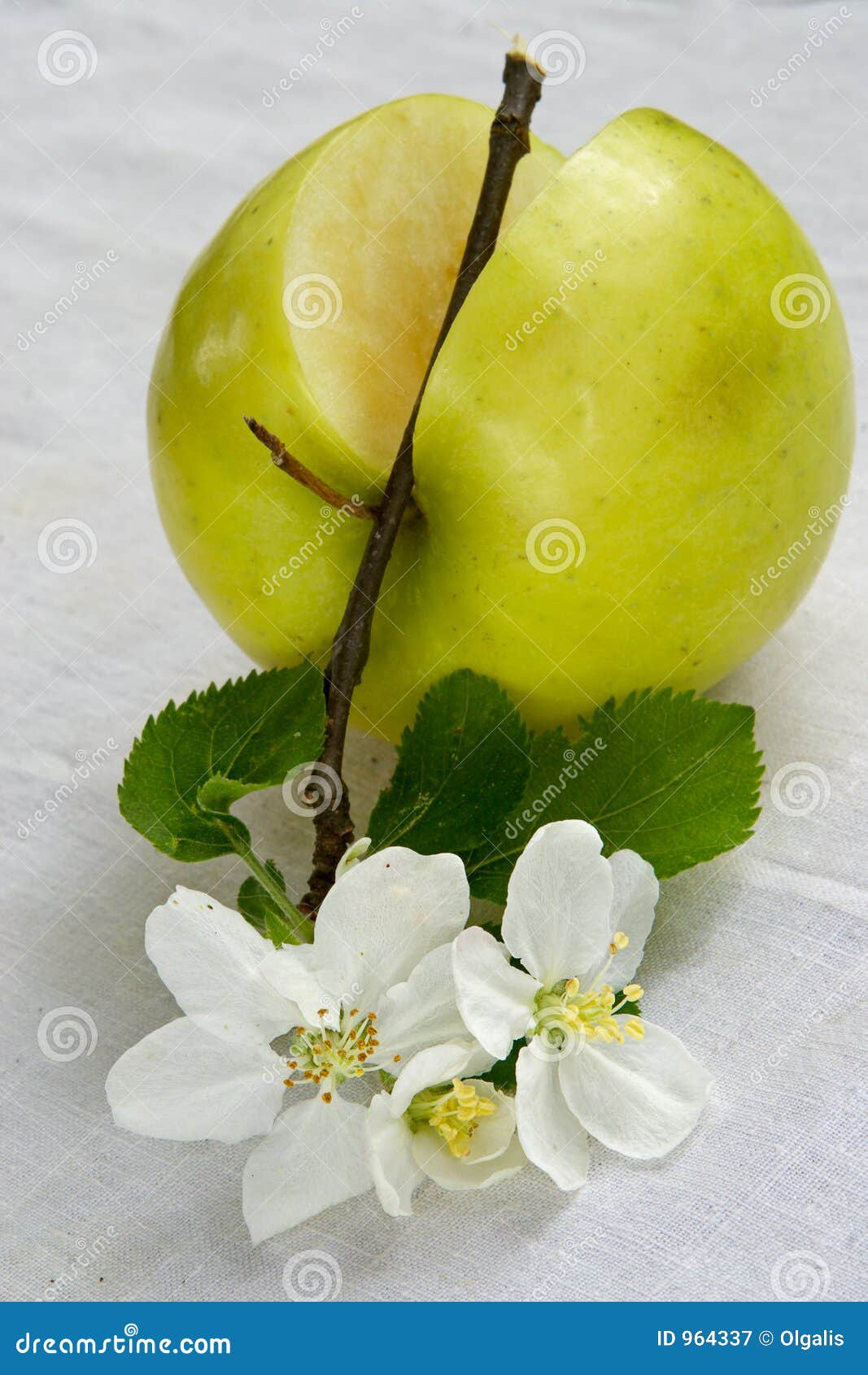 Life of green apple stock image. Image of diet, eating - 964337